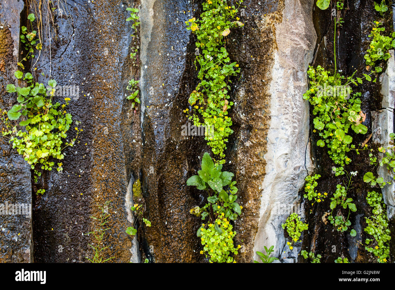 Basalt pattern hi-res stock photography and images - Alamy