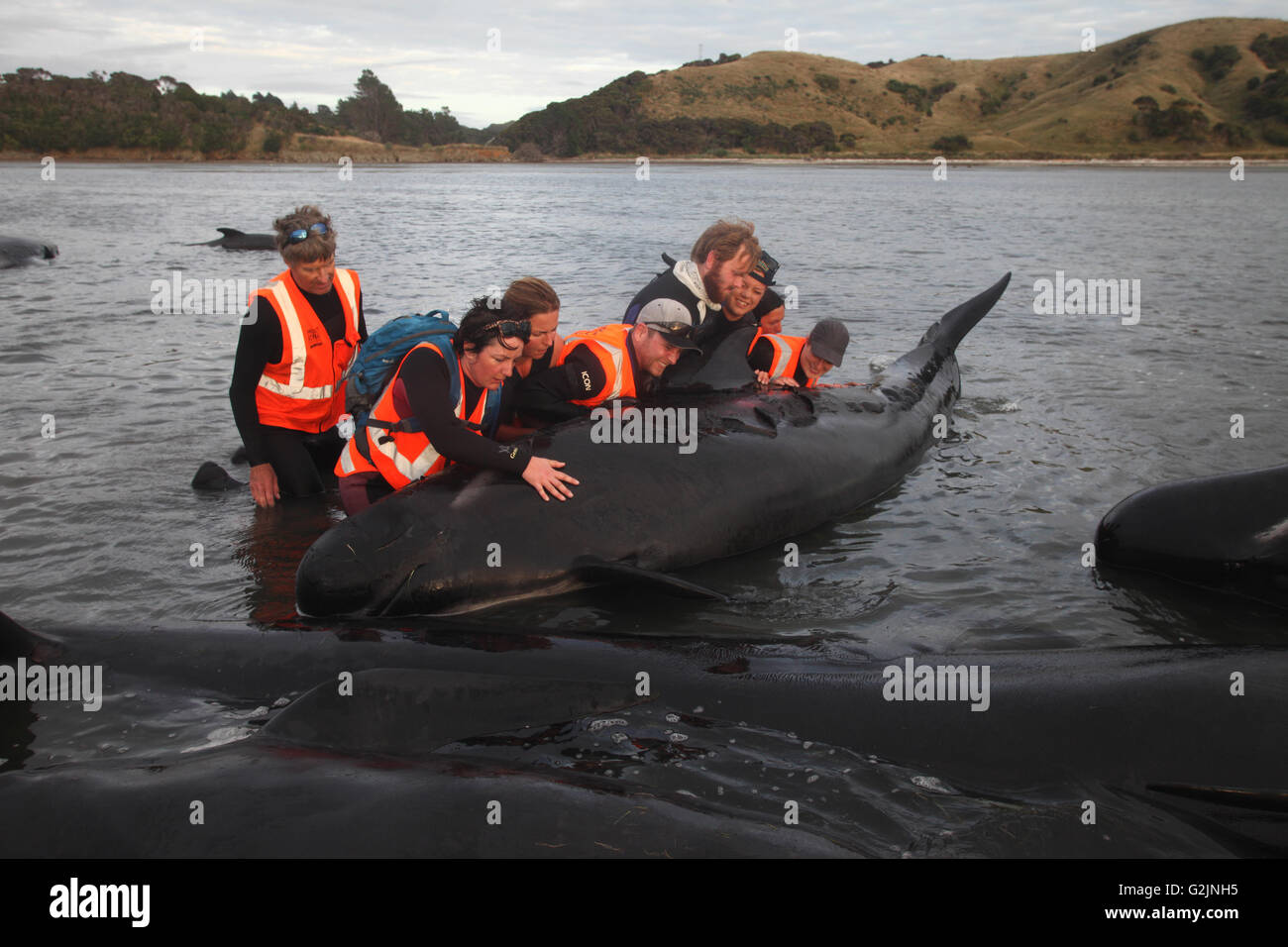 Jonah And The Whalejan Jonah And The Whale (@jonahandthewhalepodcast)