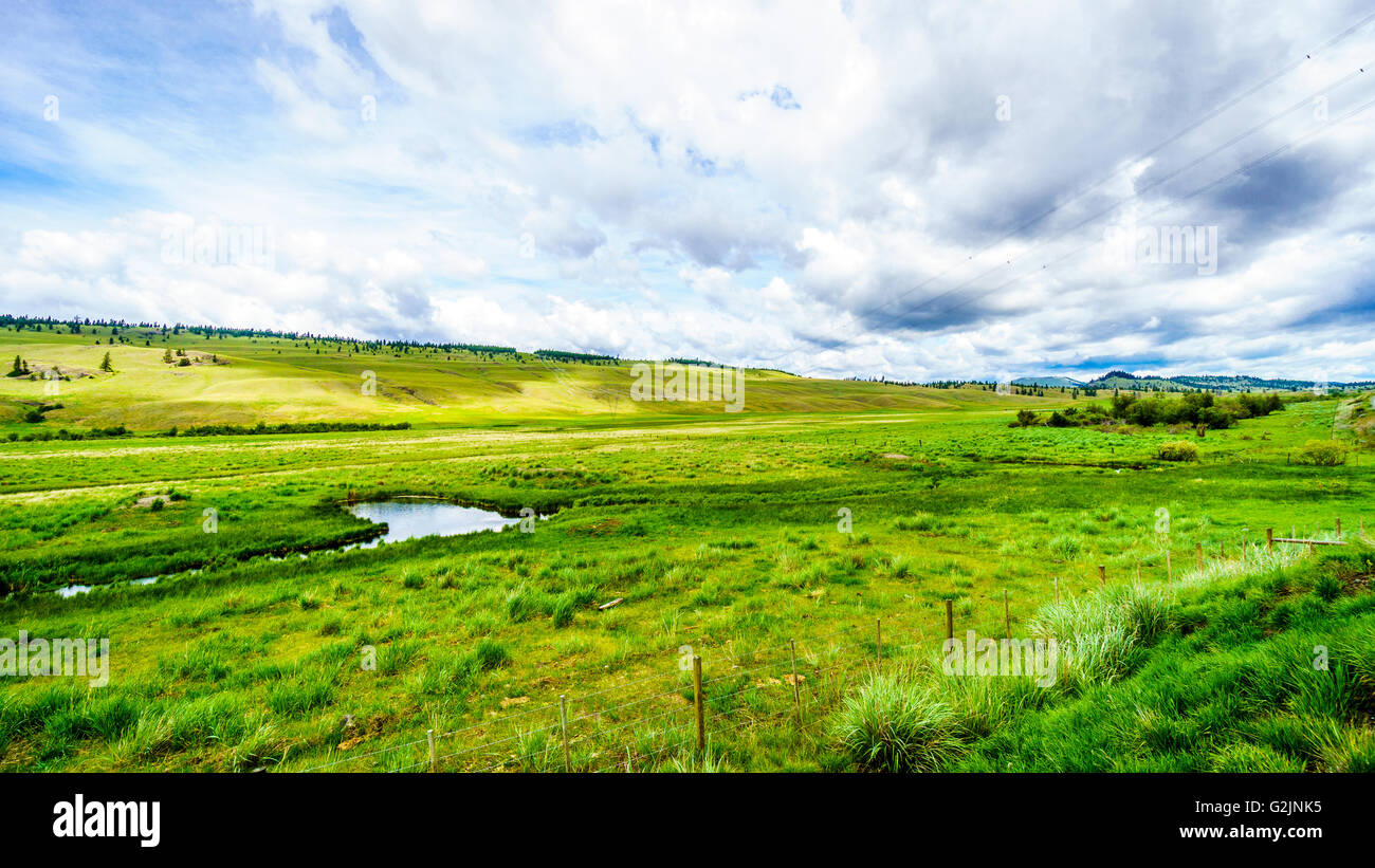 Open grasslands hi-res stock photography and images - Alamy