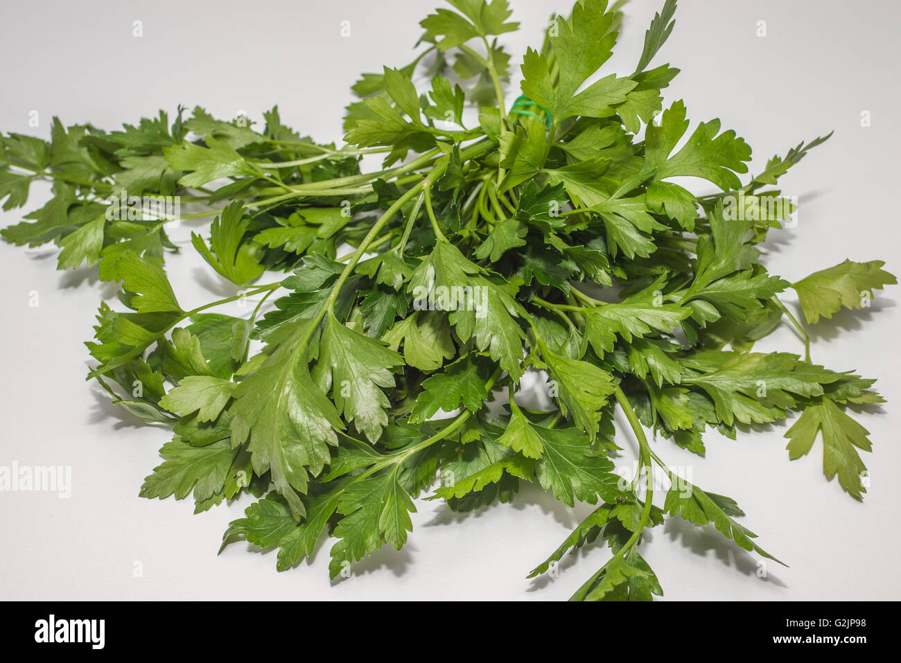 Persil de jardin hi-res stock photography and images - Alamy