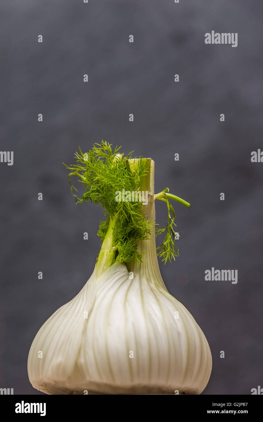 Vert coupé hi-res stock photography and images - Alamy