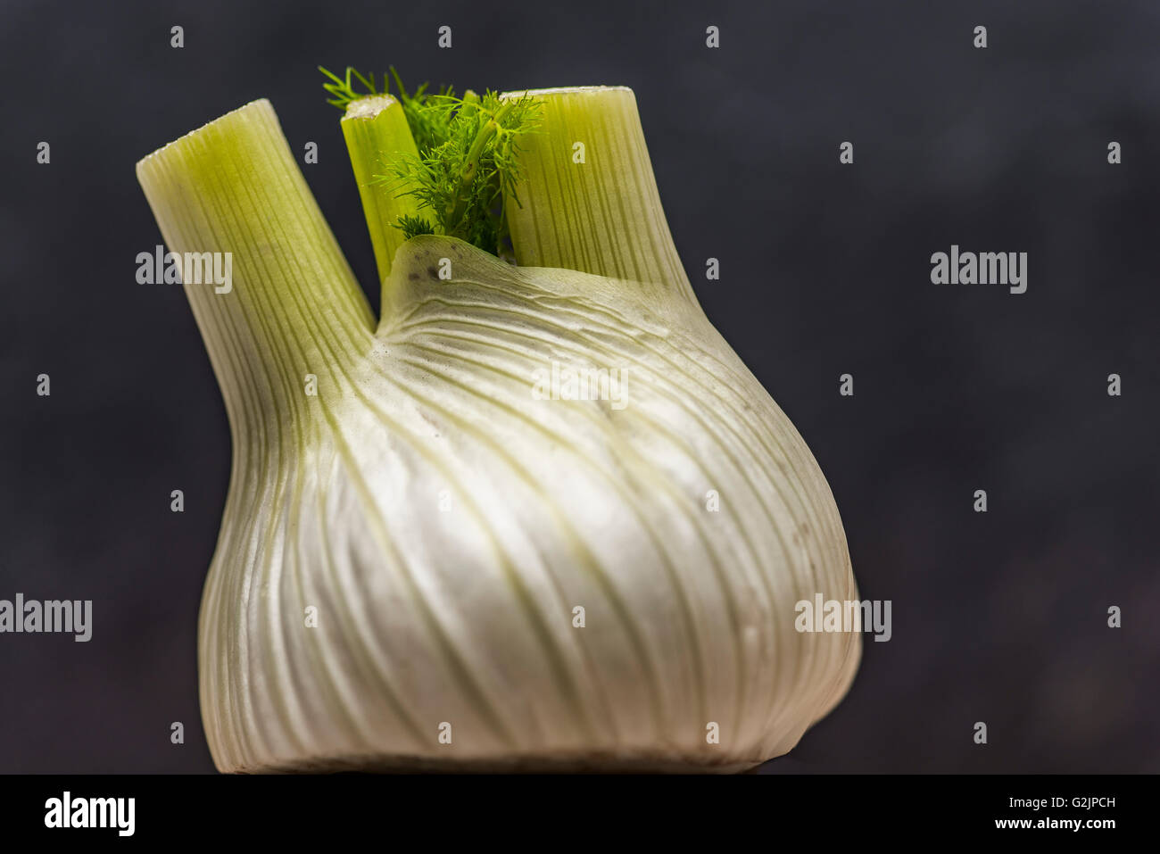 Racine vegetal hi-res stock photography and images - Alamy