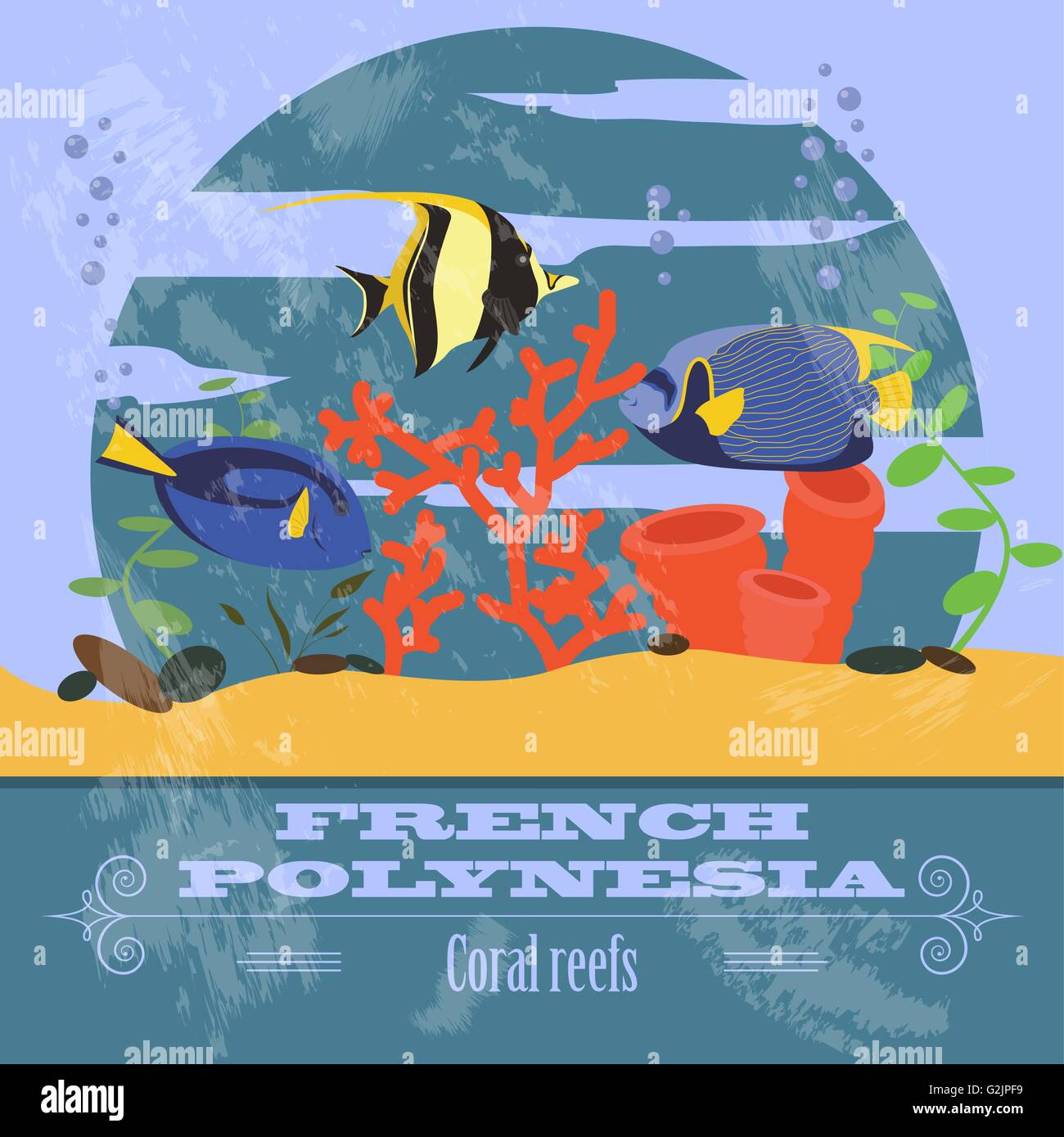 French angelfish Stock Vector Images - Alamy