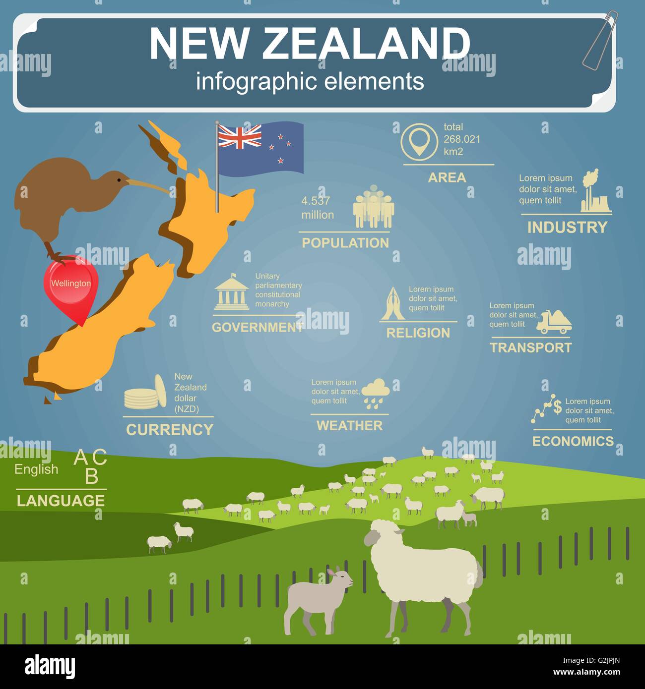 New Zealand Infographics Statistical Data Sights Vector Illustration
