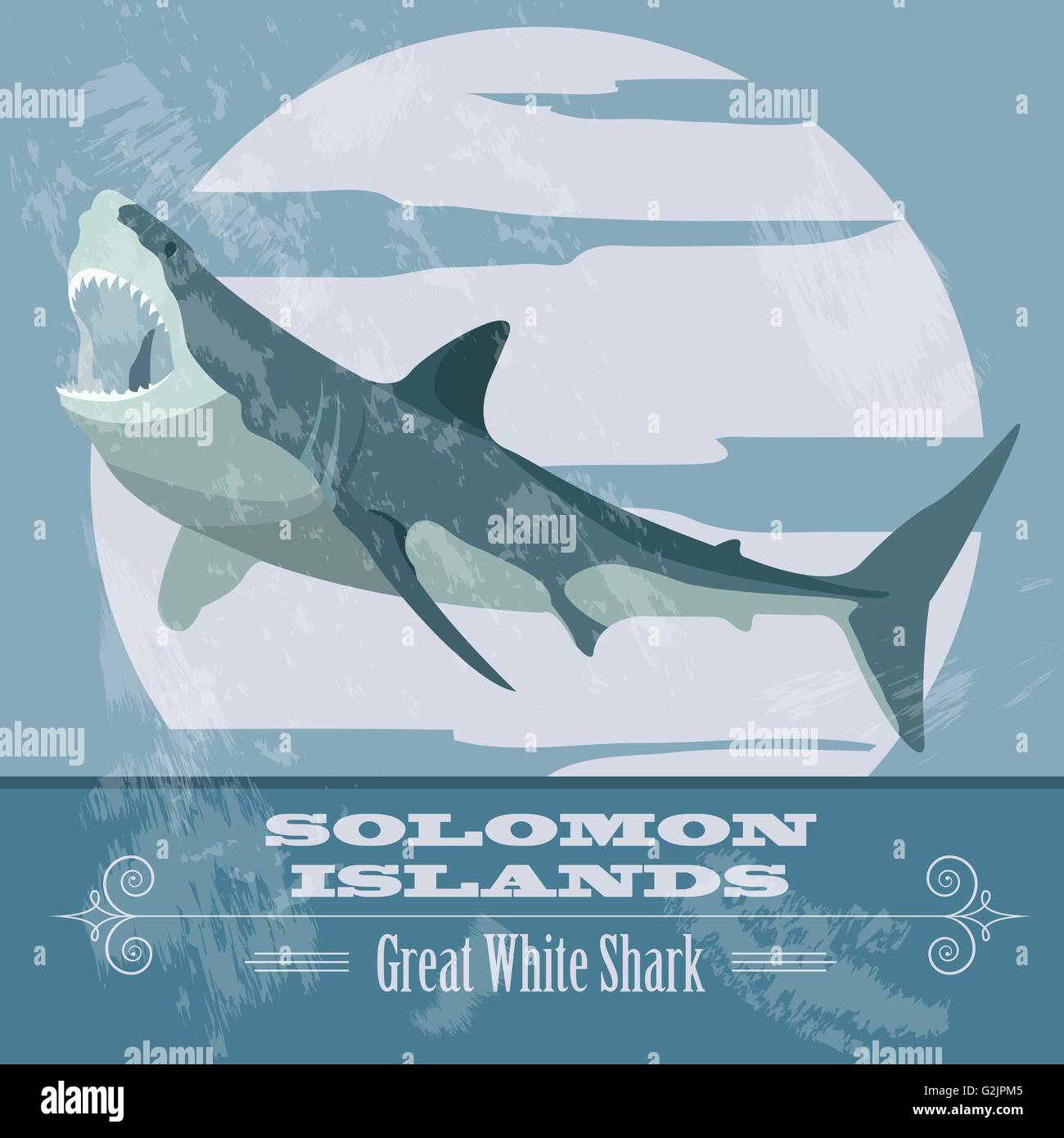 Solomon islands. Great white shark. Retro styled image. Vector ...