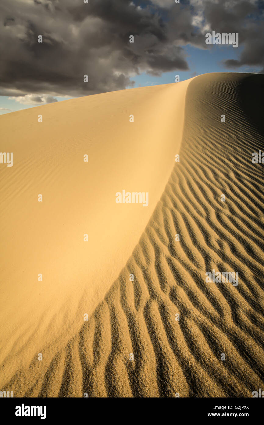 Empty stretch dry desert hi-res stock photography and images - Alamy