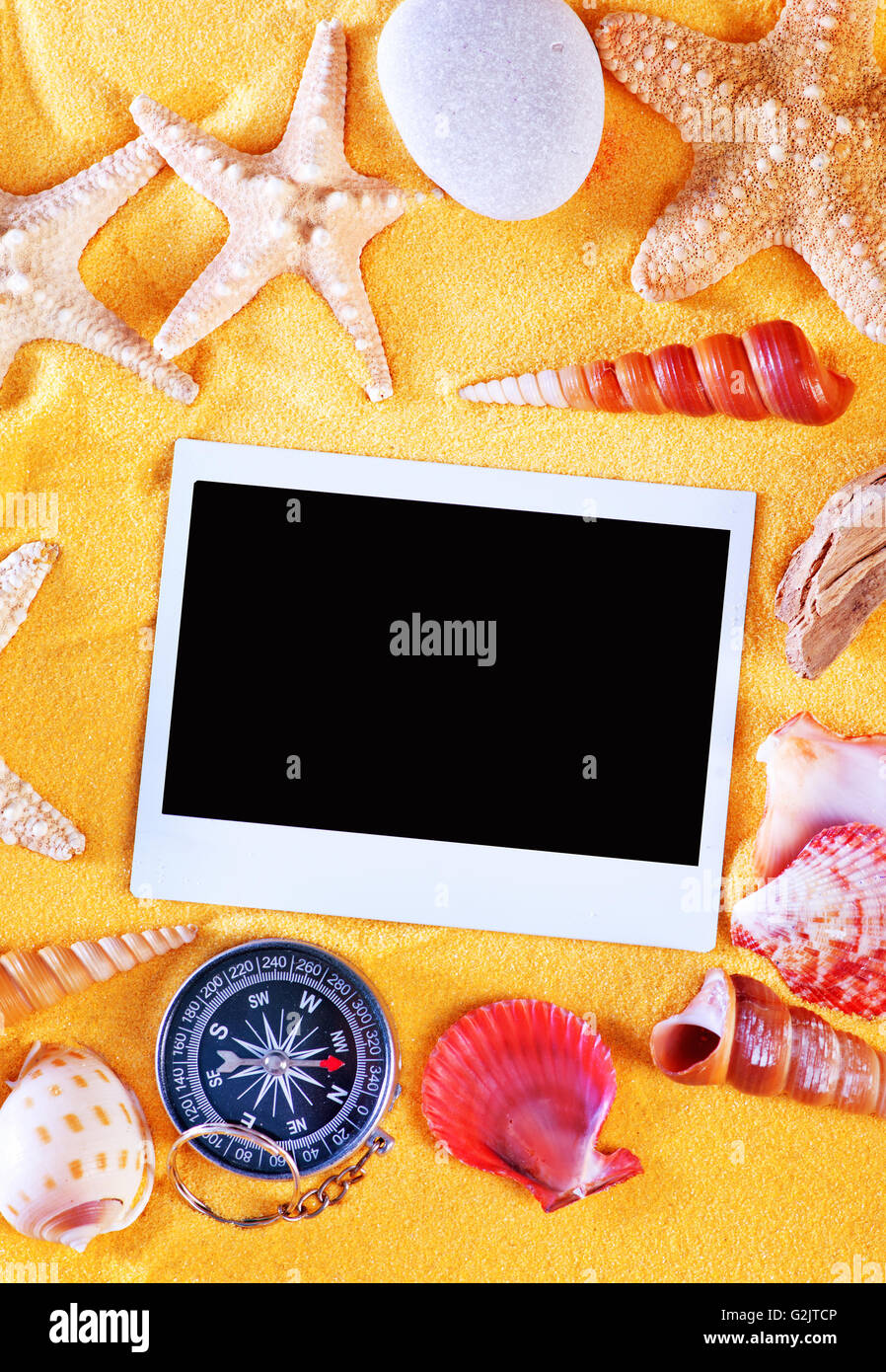 color sea shells and starfish, summer background Stock Photo - Alamy