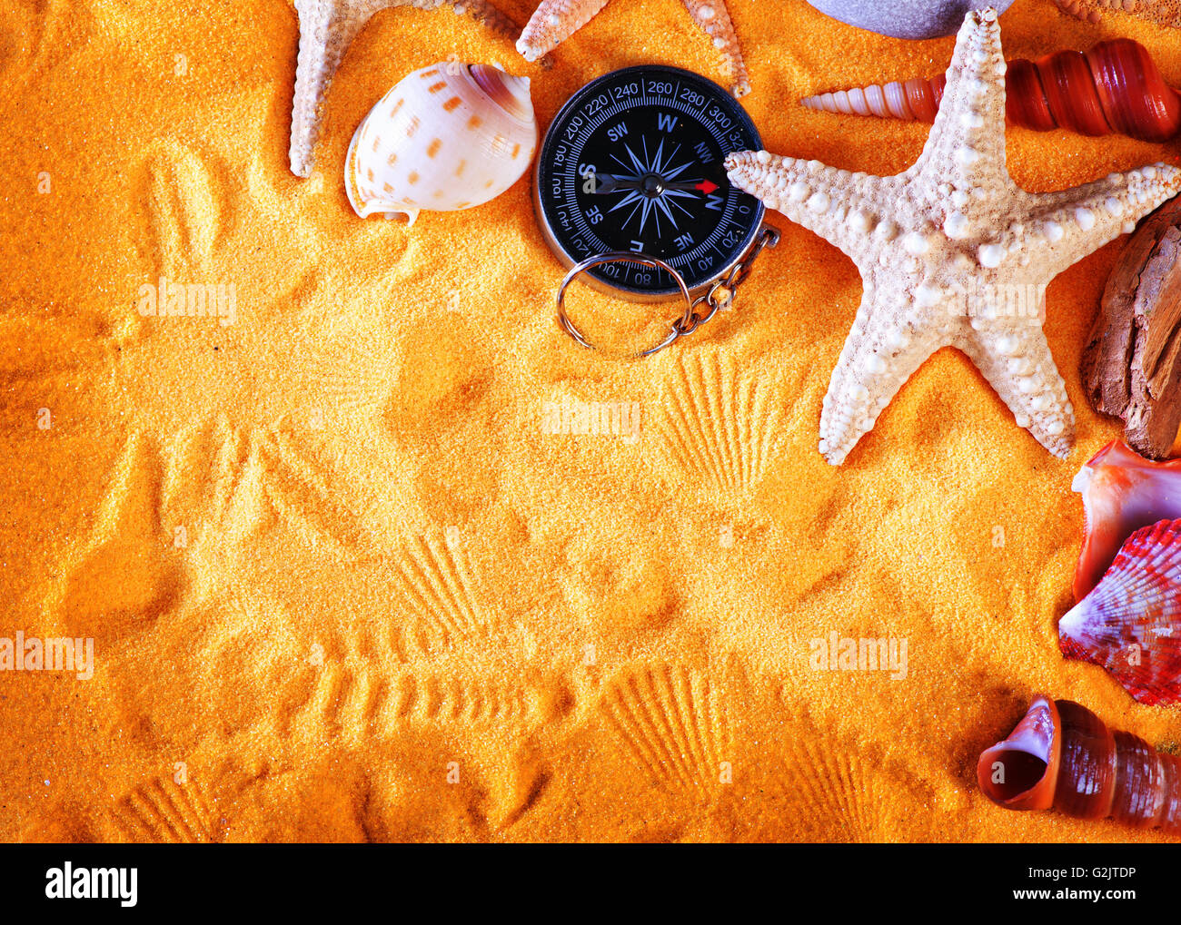 color sea shells and starfish, summer background Stock Photo - Alamy