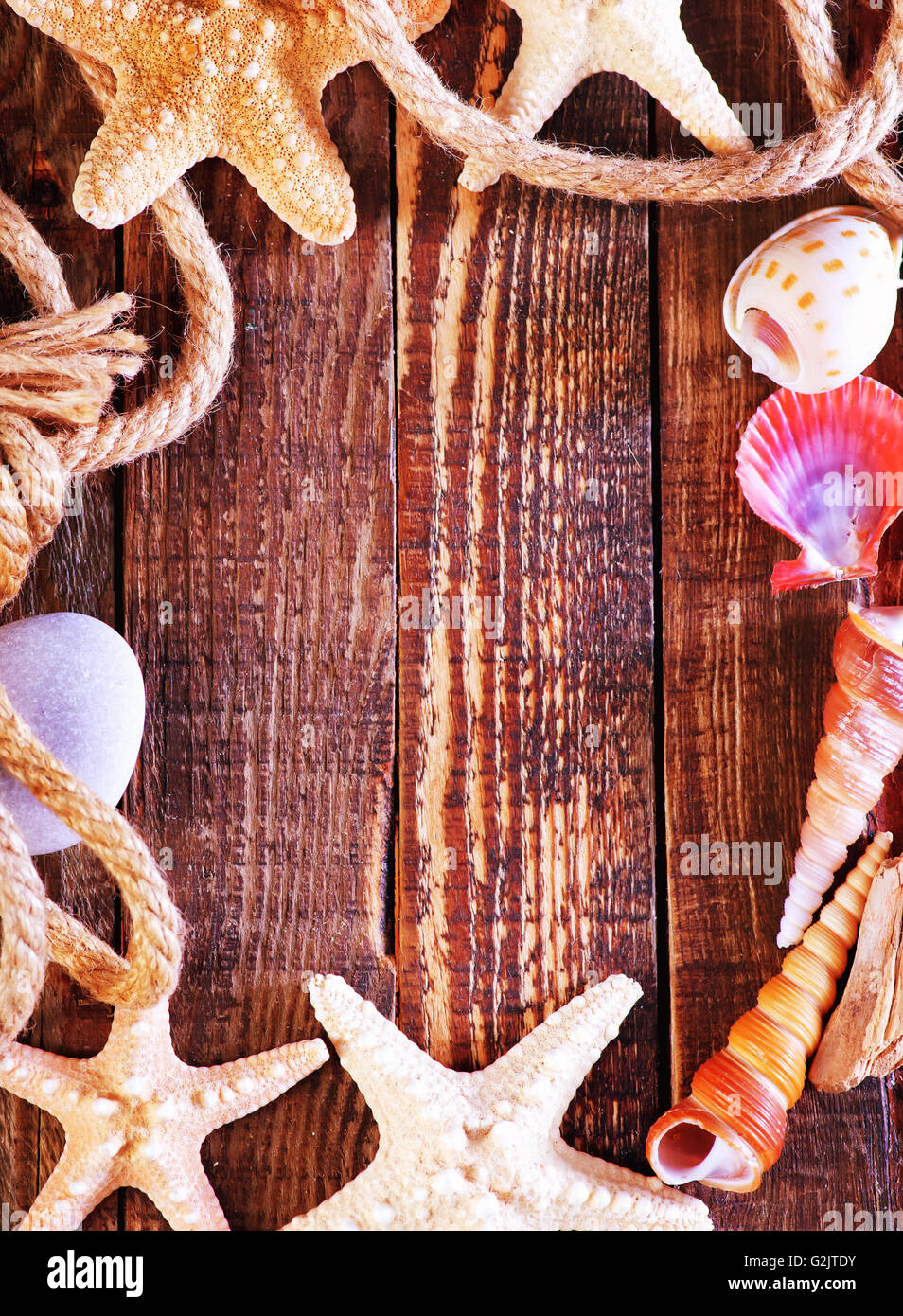 color sea shells and starfish, summer background Stock Photo - Alamy