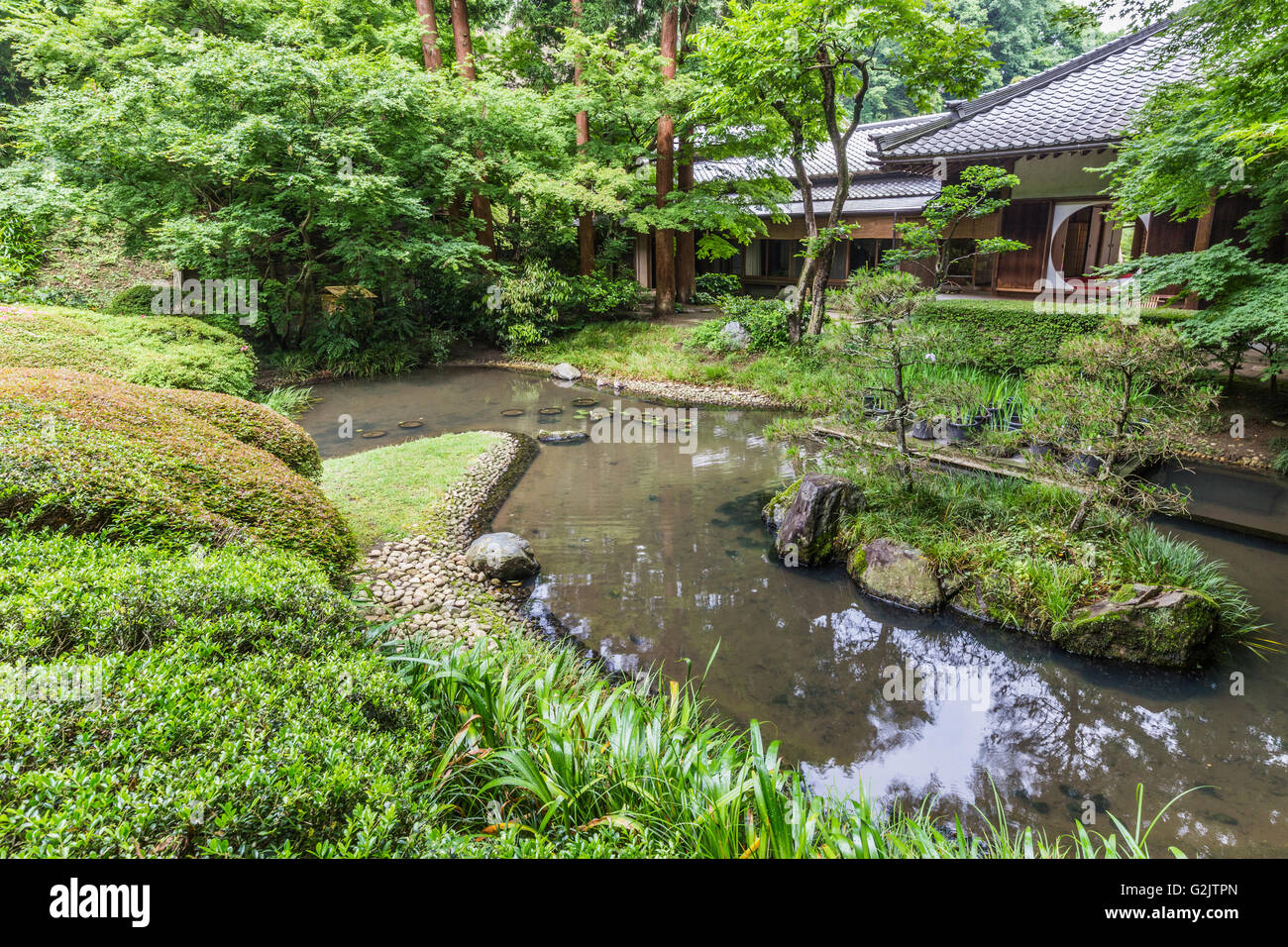 Meigetsuin pond garden hi-res stock photography and images - Alamy