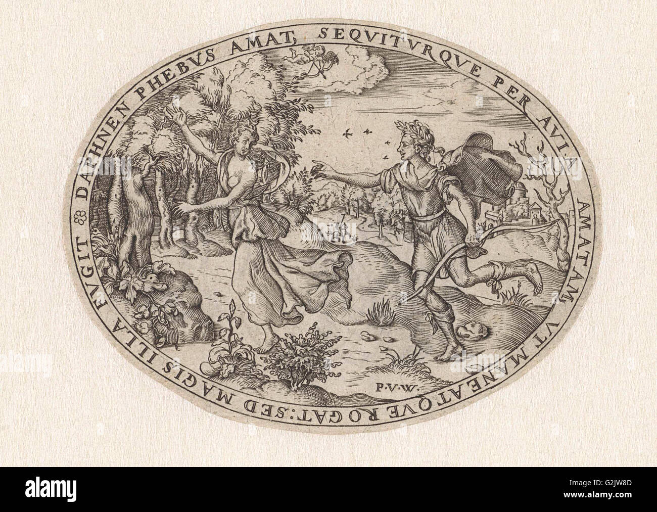 Daphne apollo laurel tree hi-res stock photography and images - Alamy