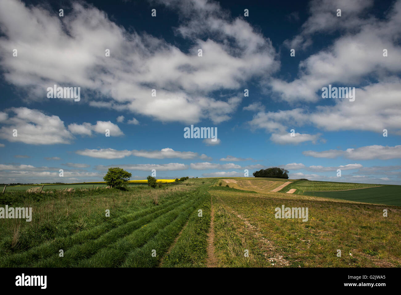 Downland view from The Giant's Grave near Aldbourne, Wiltshire, UK ...