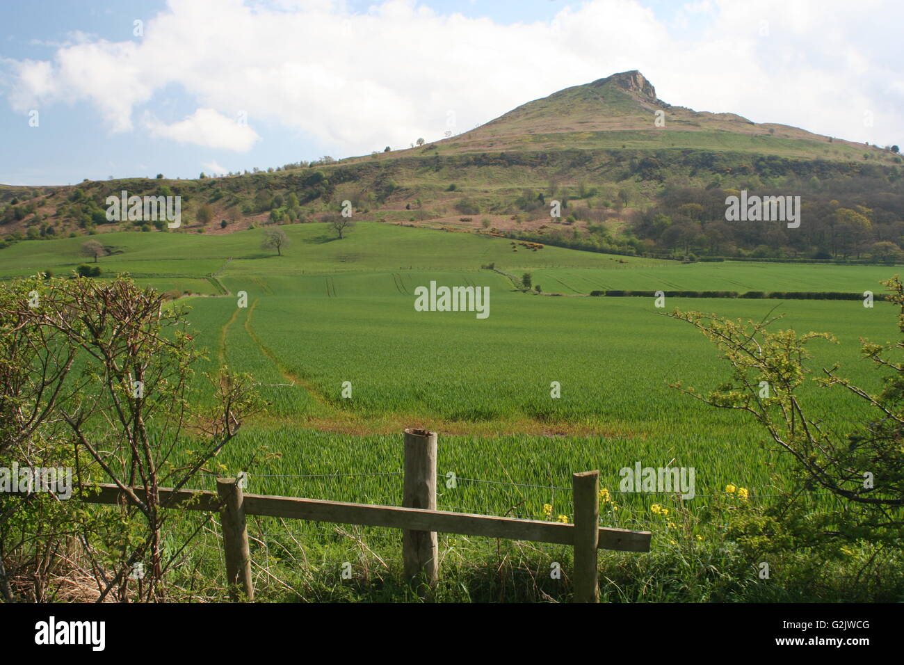 Roseberry Topping, North Yorkshire Stock Photo - Alamy