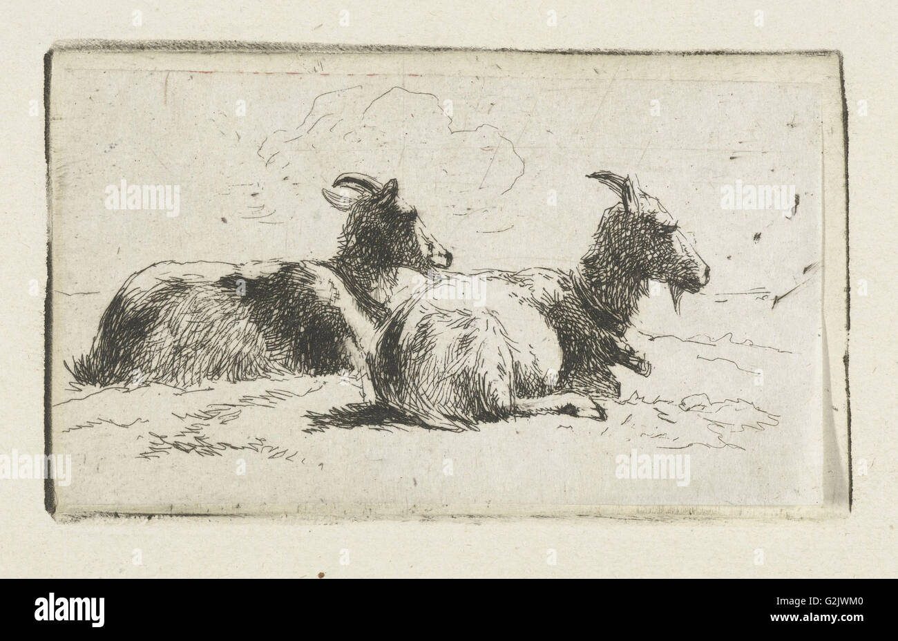 Two reclining goats, Simon van den Berg, 1822 - 1899 Stock Photo - Alamy
