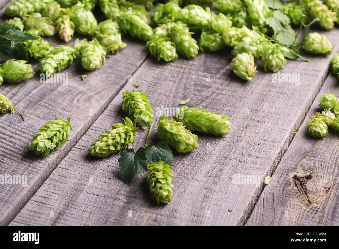 Plant ingredient beer hi-res stock photography and images - Alamy