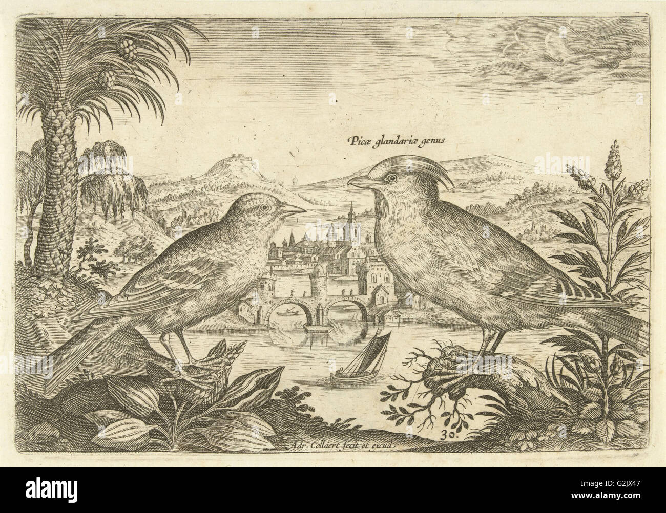 Two birds in a landscape, Adriaen Collaert, 1598 - 1602 Stock Photo - Alamy
