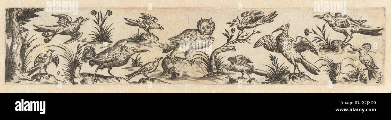 Hop hop the owl hi-res stock photography and images - Alamy