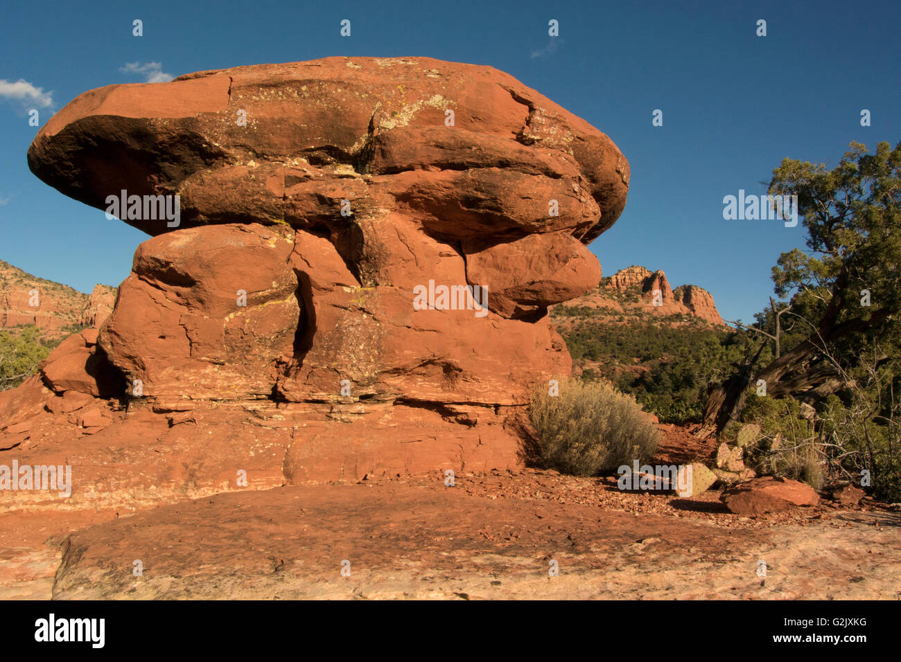Scenic red rock formations in Coconino National Forest Sedona AZ ...