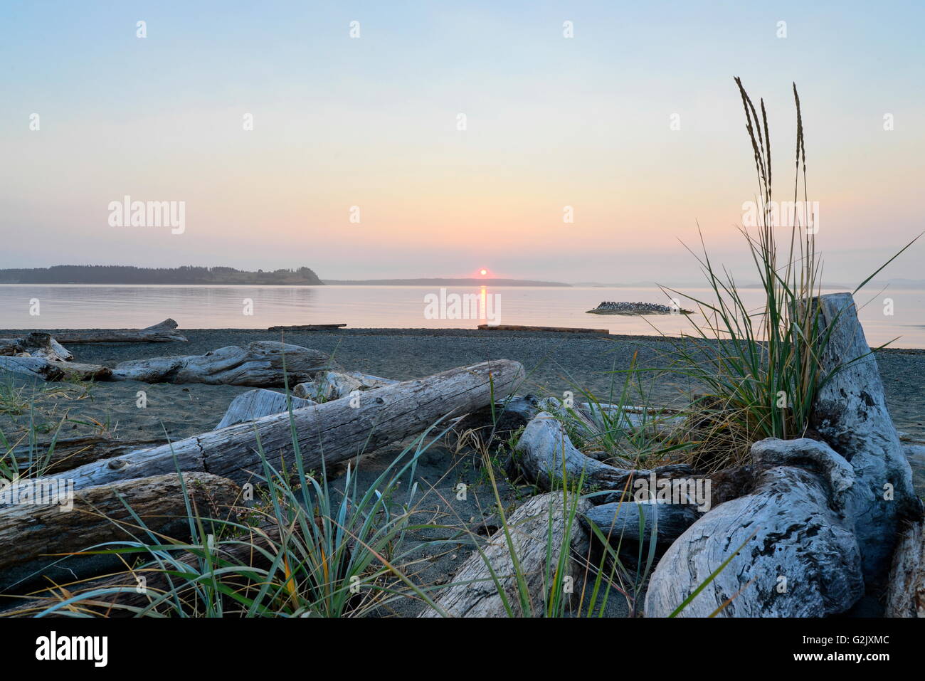 Vancouver beach log hi-res stock photography and images - Alamy