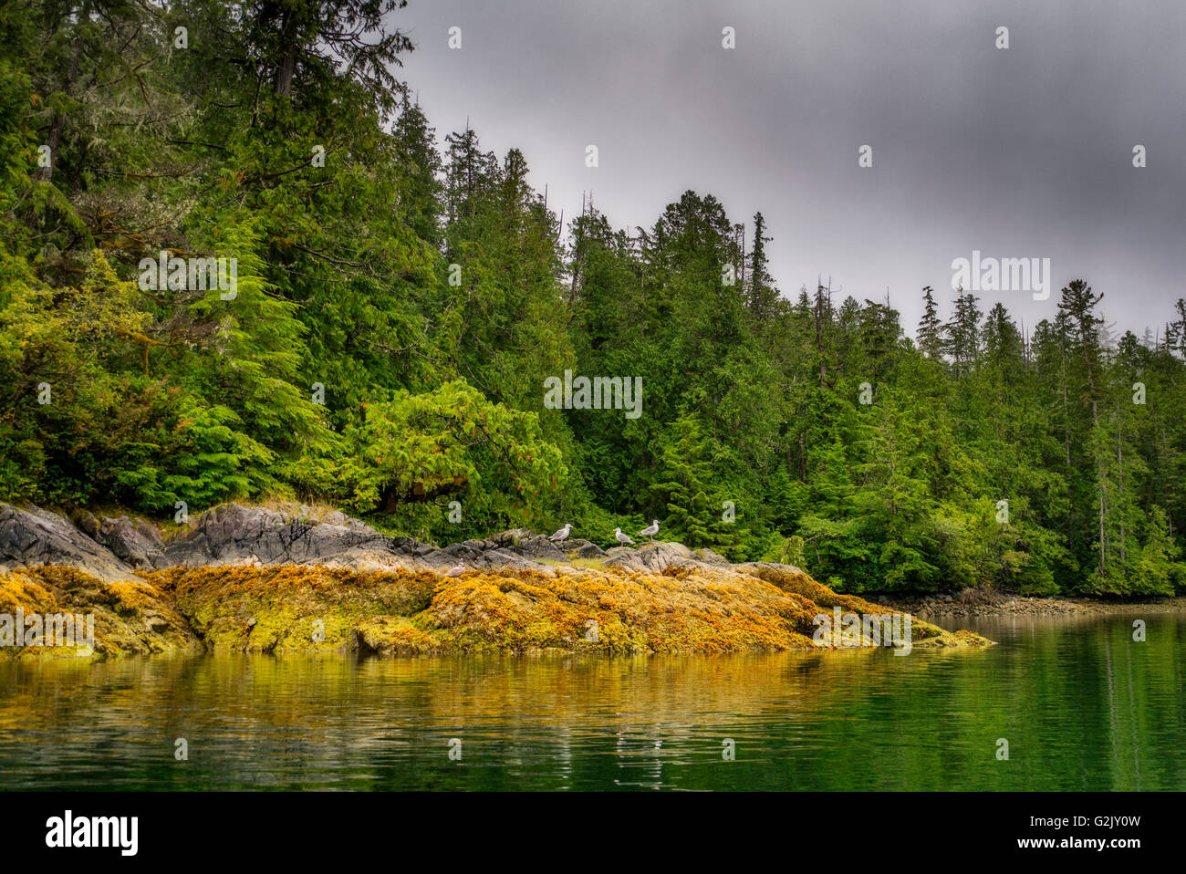 Broken Group Islands High Resolution Stock Photography and Images - Alamy