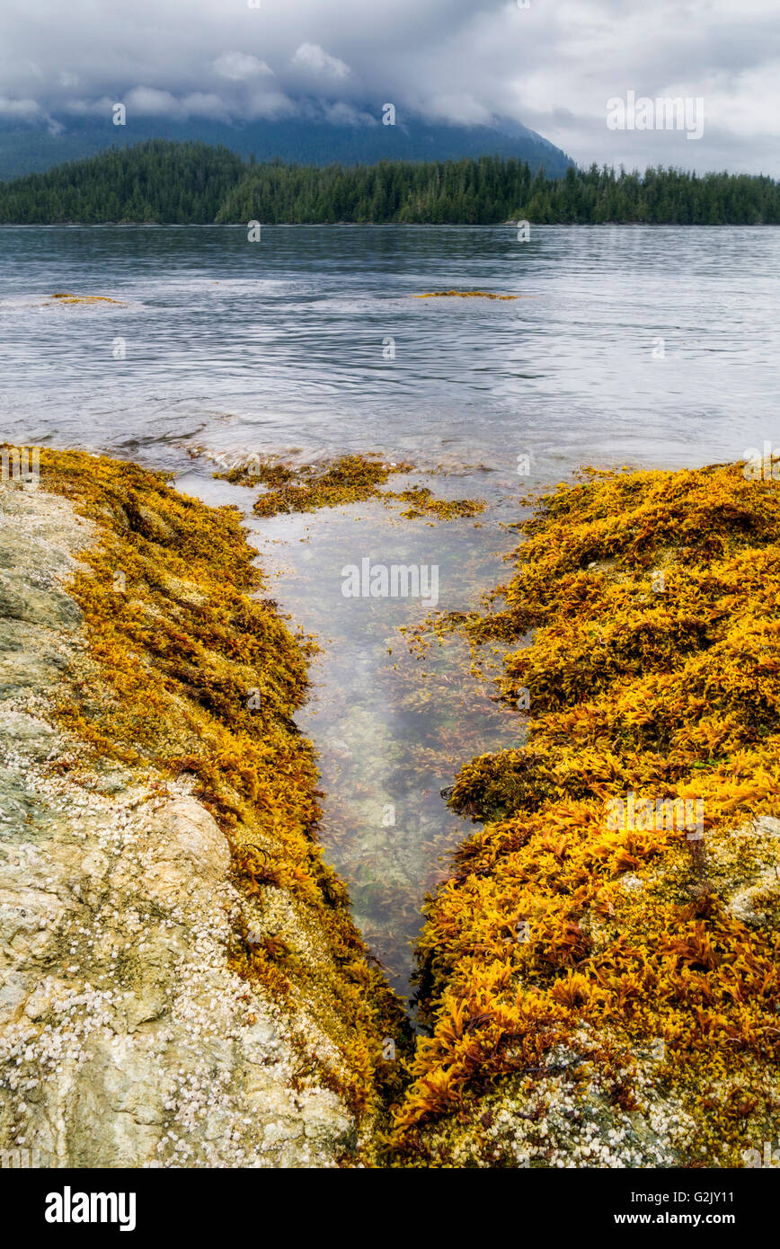 Broken Group Islands High Resolution Stock Photography and Images - Alamy