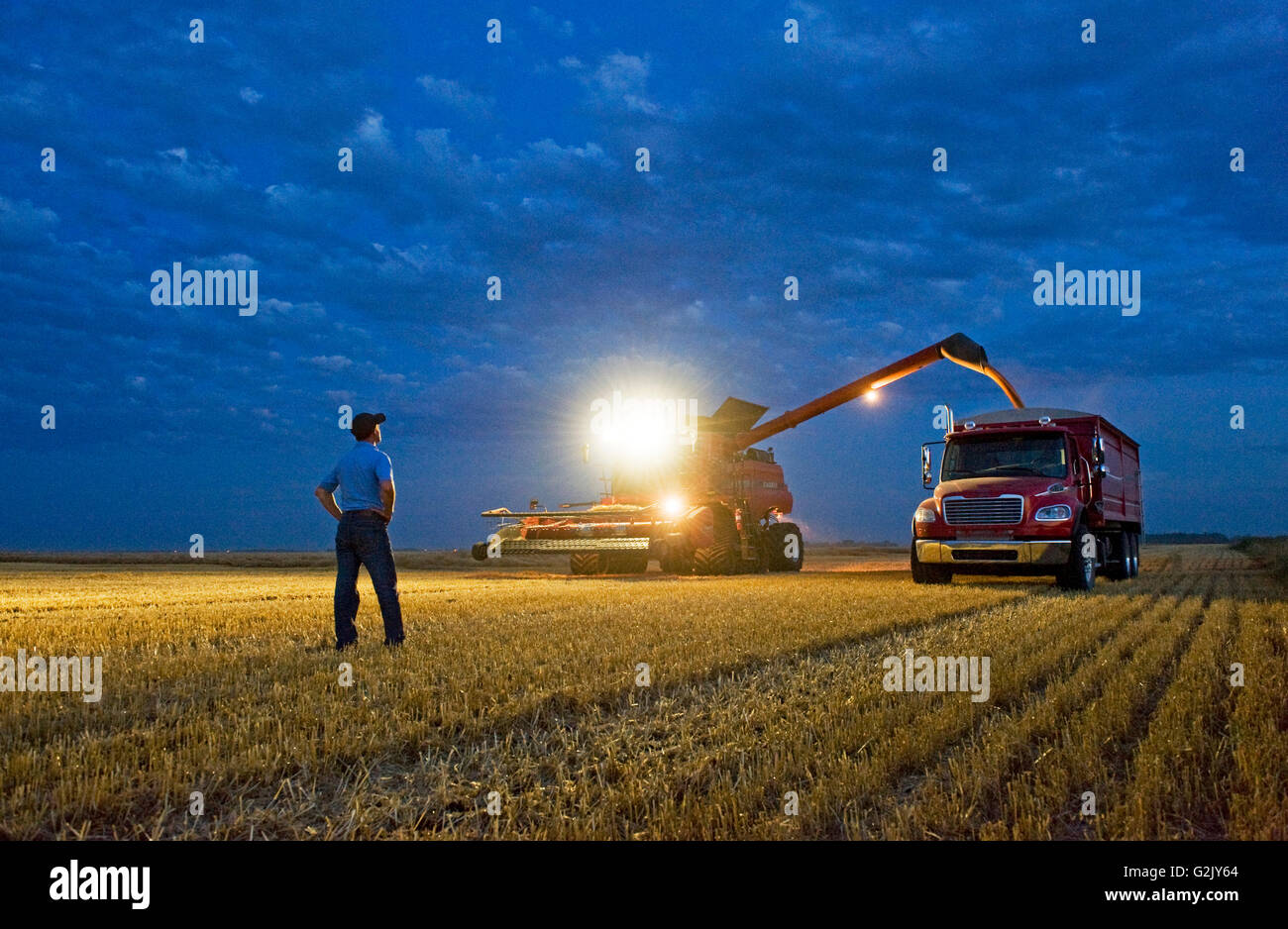 Grain unloading hi-res stock photography and images - Alamy