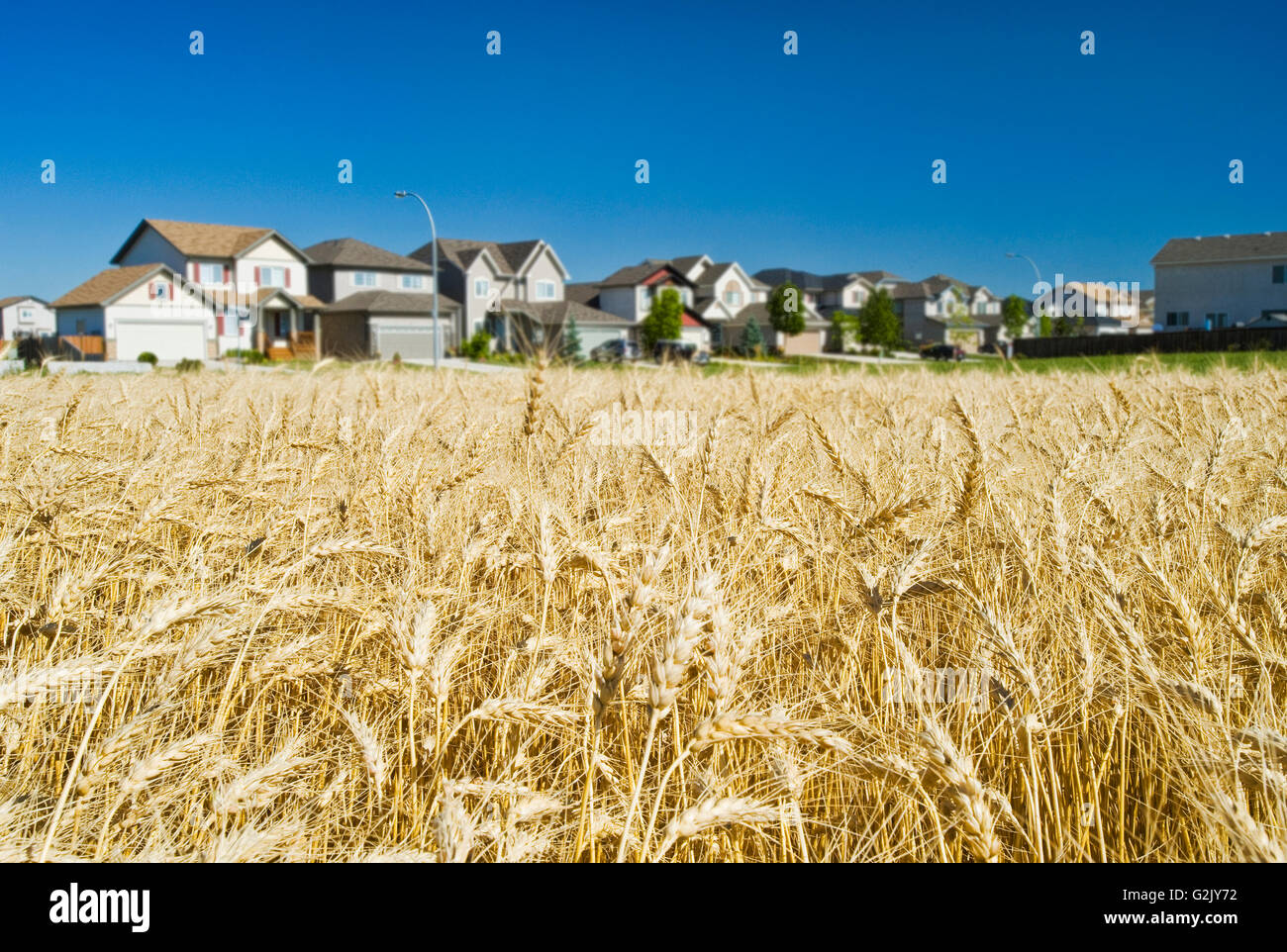 Urban sprawl hi-res stock photography and images - Alamy
