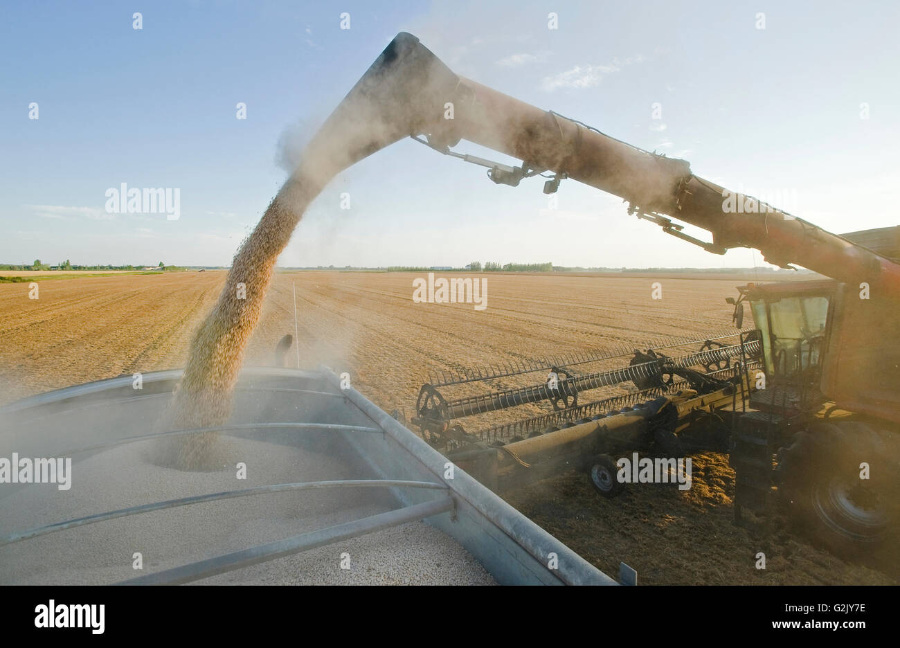Pea harvester hi-res stock photography and images - Alamy