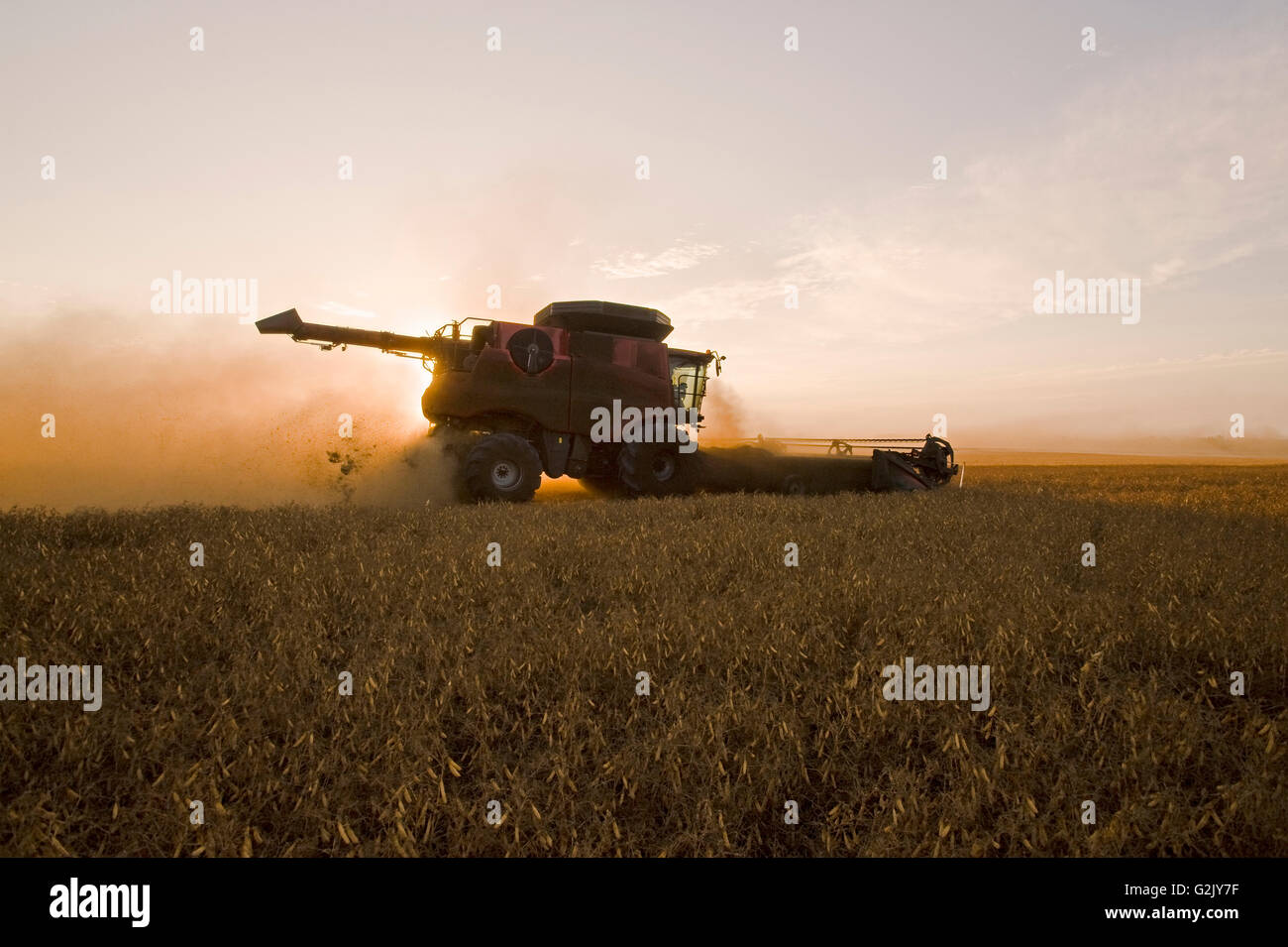 Pea harvester hi-res stock photography and images - Alamy