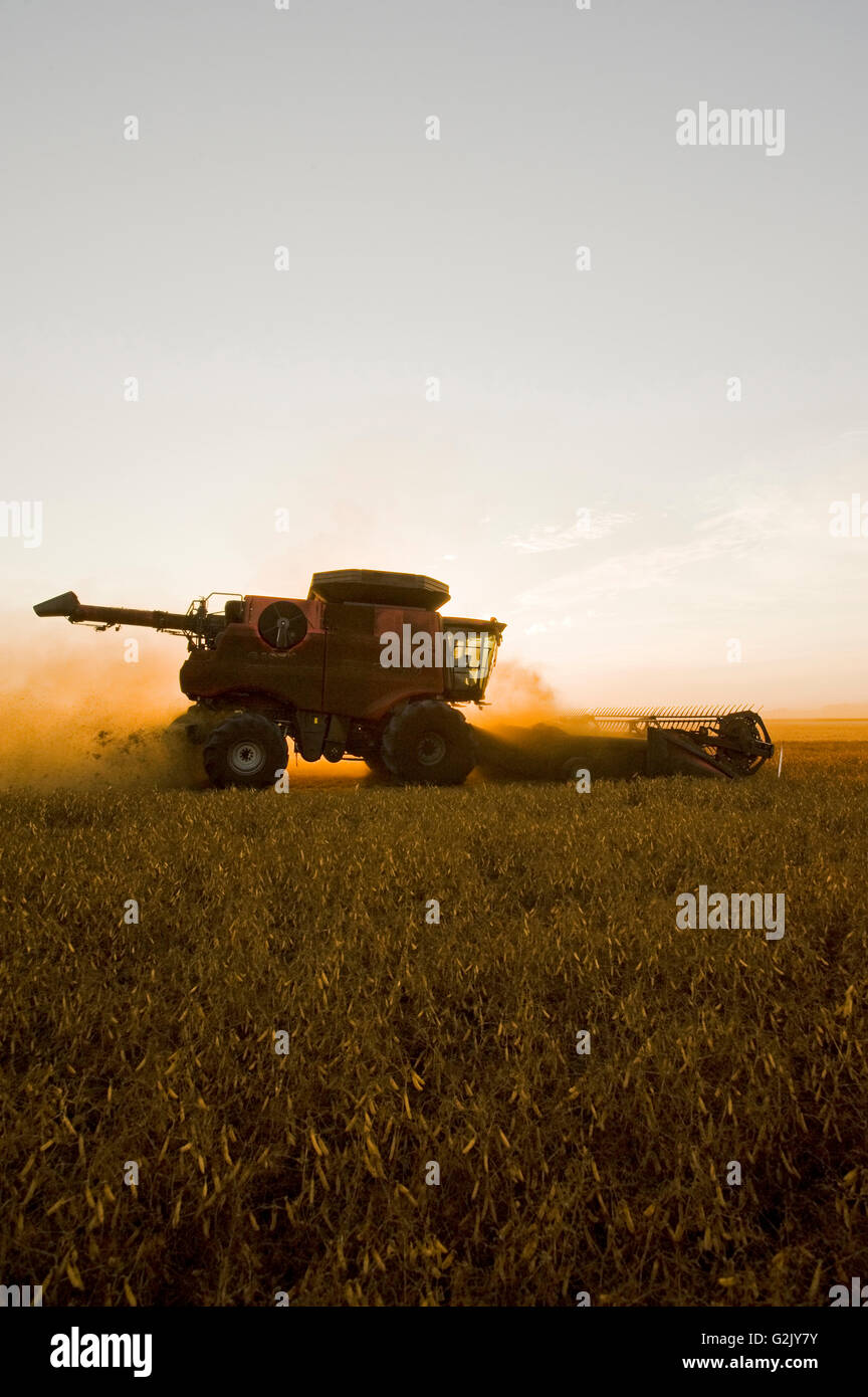 Pea harvester hi-res stock photography and images - Alamy