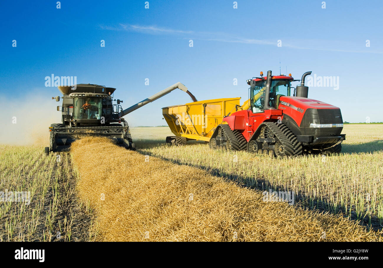 a combine harvester empties into a grain wagon/grain cart on the go ...