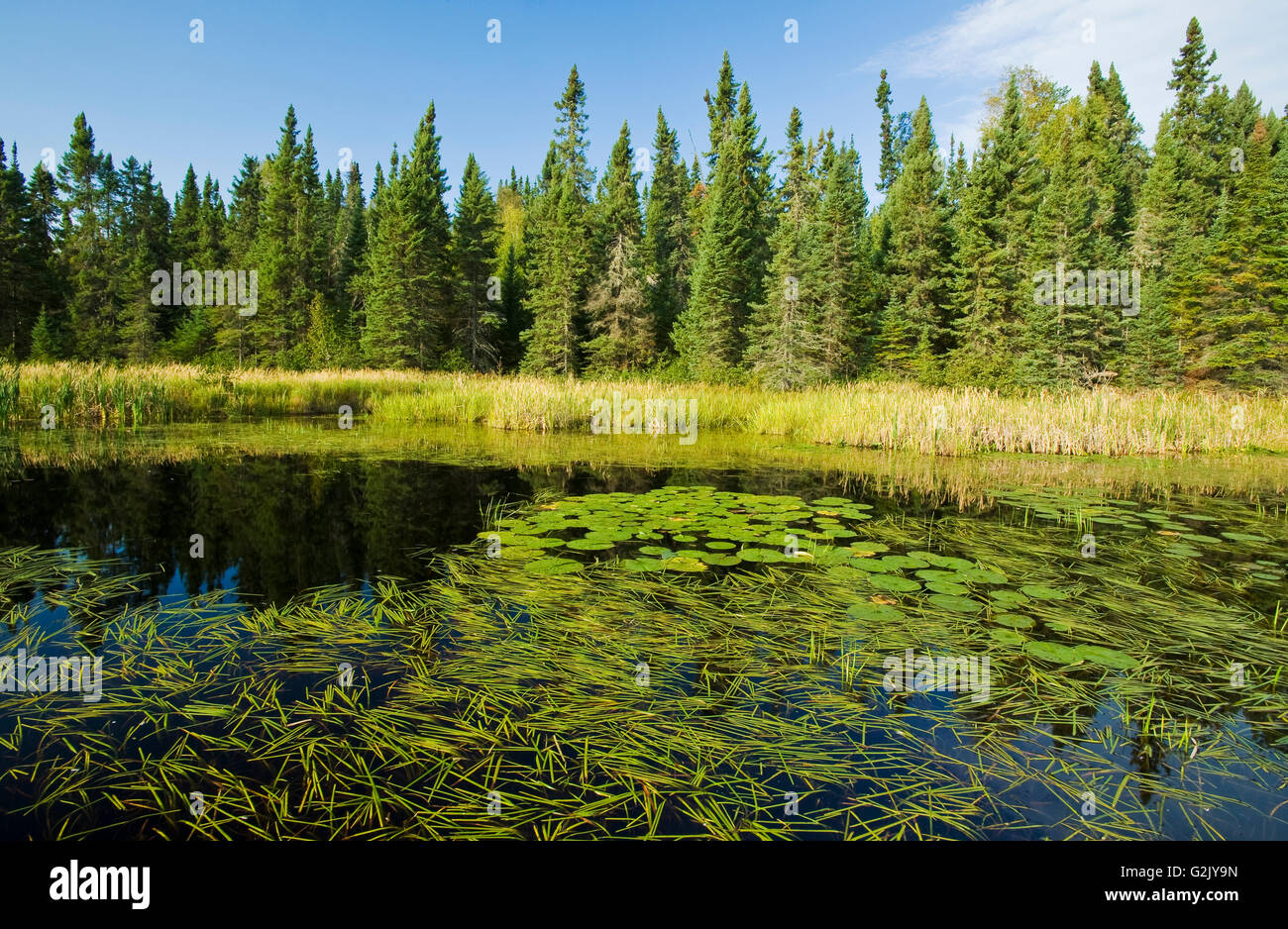 Northwestern ontario hi-res stock photography and images - Alamy