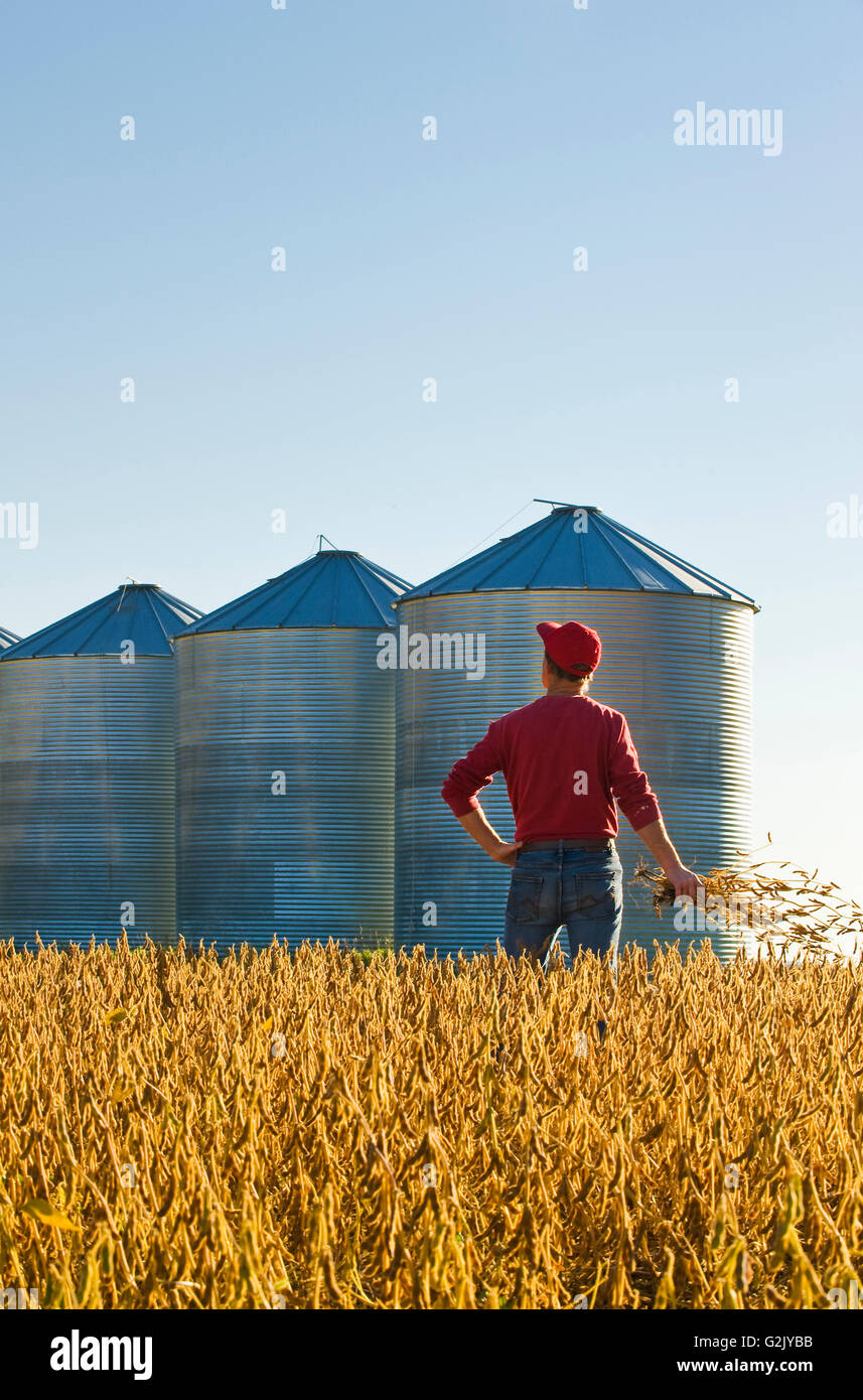 Mature storage hi-res stock photography and images - Alamy