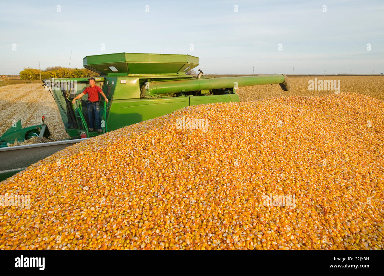 a man on the deck of a combine harvester looks out over a grain wagon ...