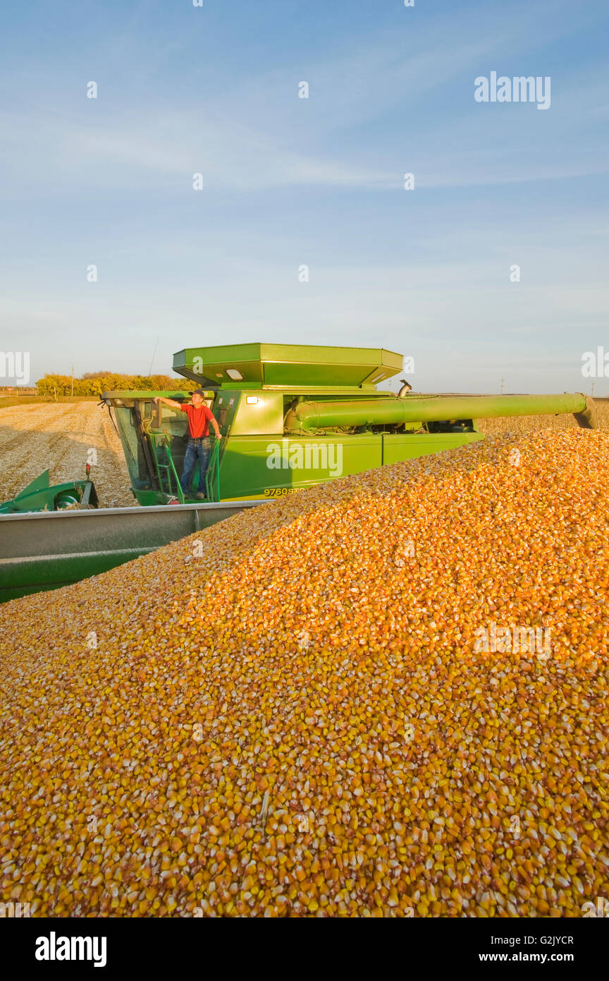 a man on the deck of a combine harvester looks out over a grain wagon ...
