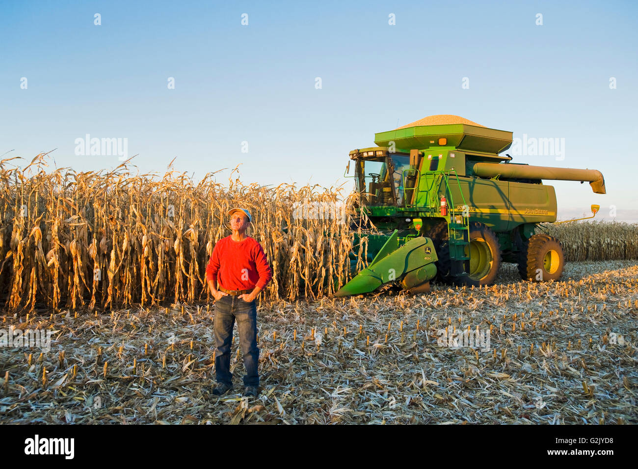 a man next to a combine harvester during the feed/grain corn harvest ...