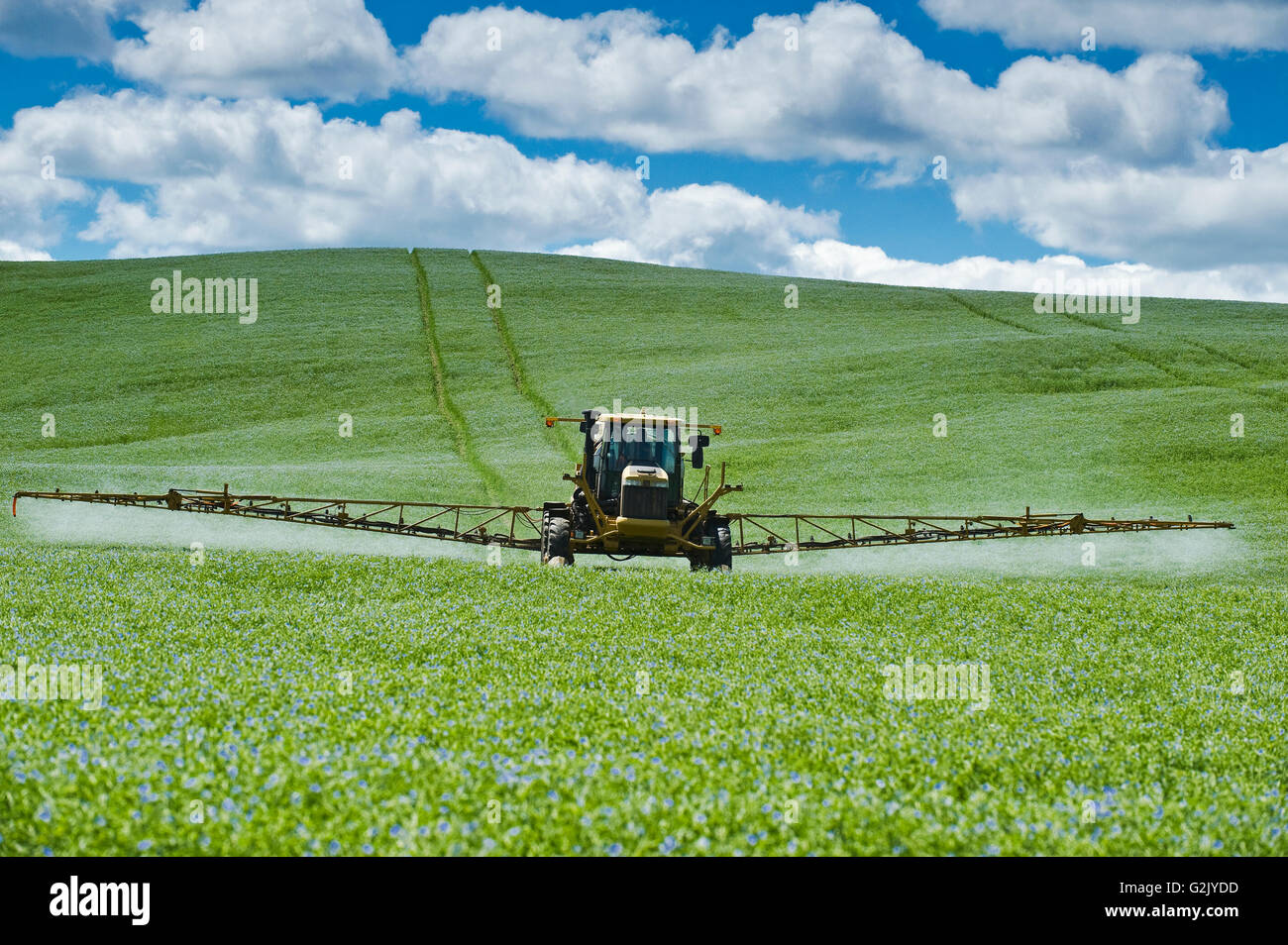 a high clearance sprayer applies a chemical application of fungicide to ...