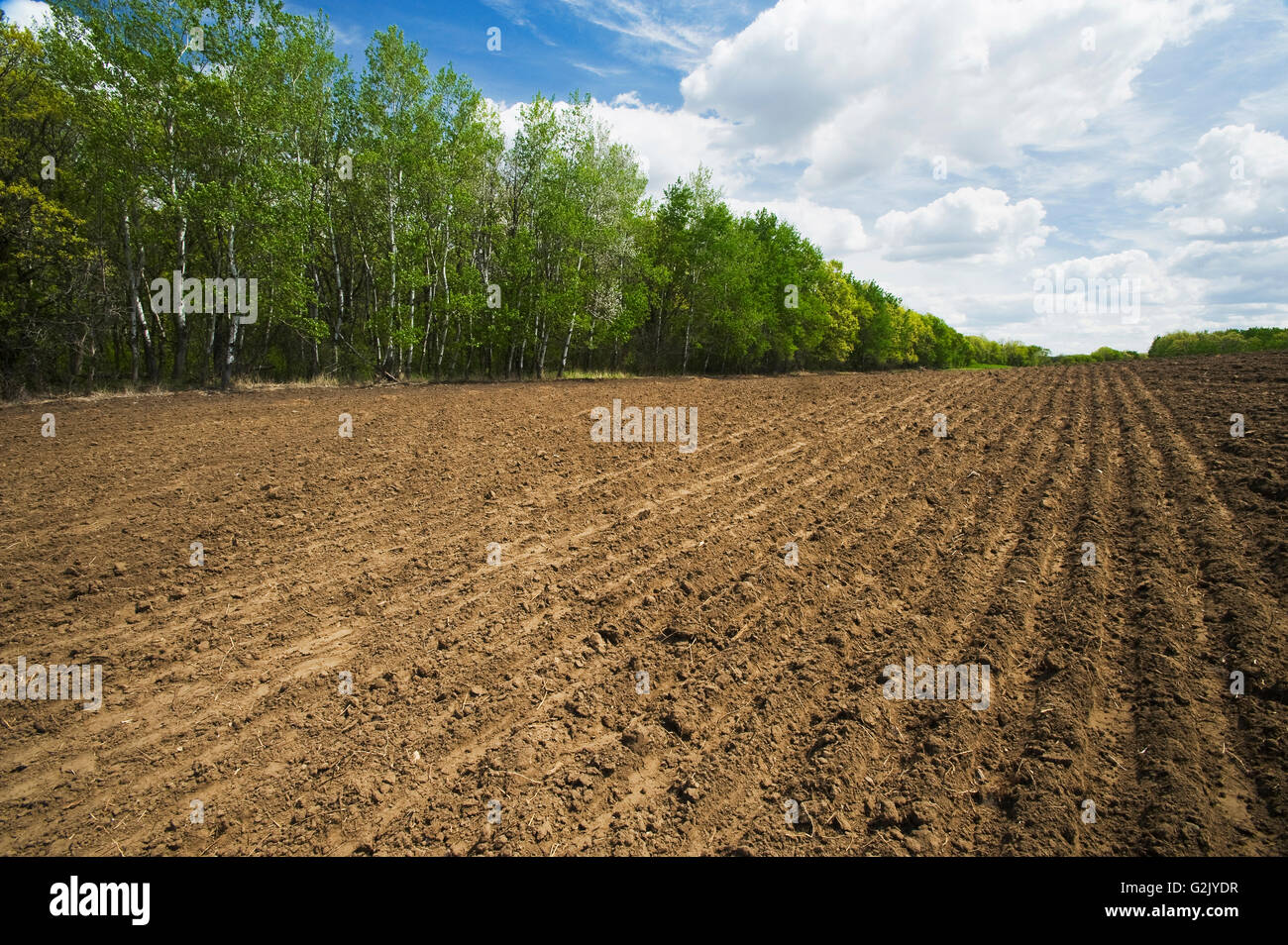Tiger hills hi-res stock photography and images - Alamy
