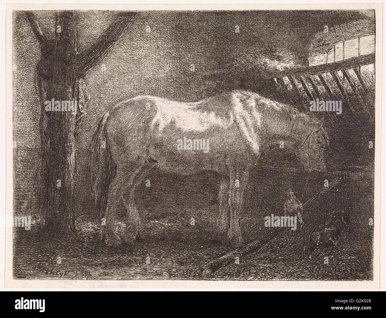Horse in stable, Jan Vrolijk, 1860 - 1894 Stock Photo - Alamy