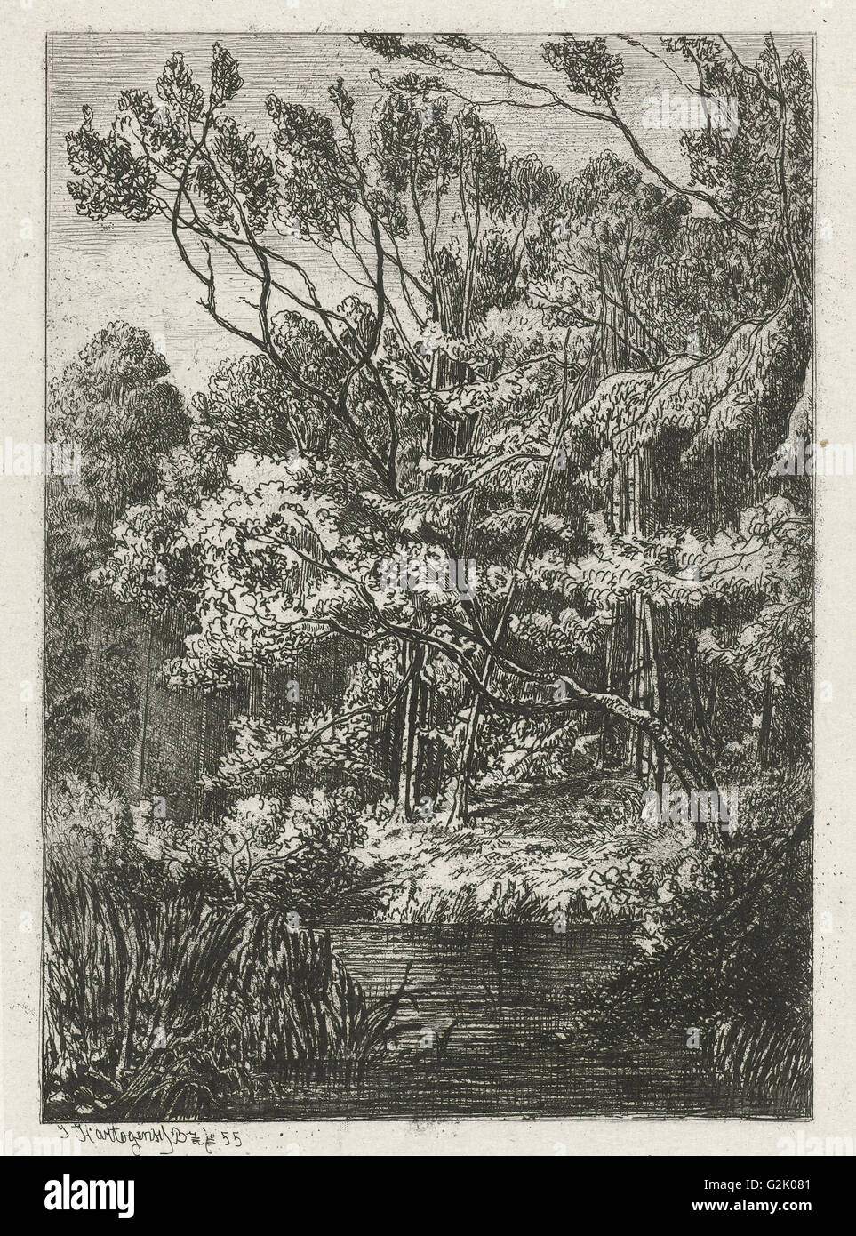 Forest view, Joseph Hartogensis, 1855 Stock Photo - Alamy