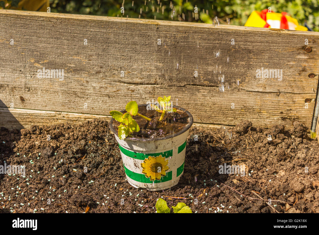 Common Earthworm Earthworm Lob Worm High Resolution Stock Photography ...