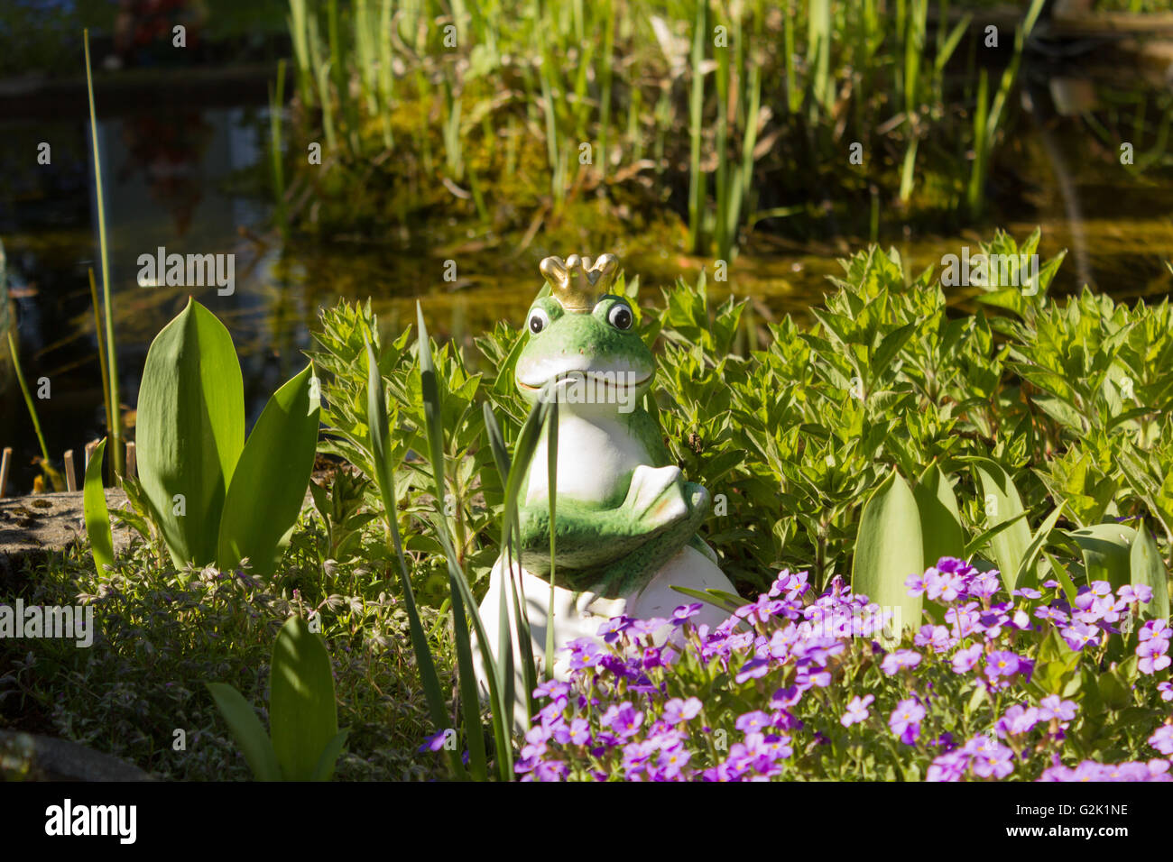 Frog prince with gold crown, closeup and pond background Stock Photo ...