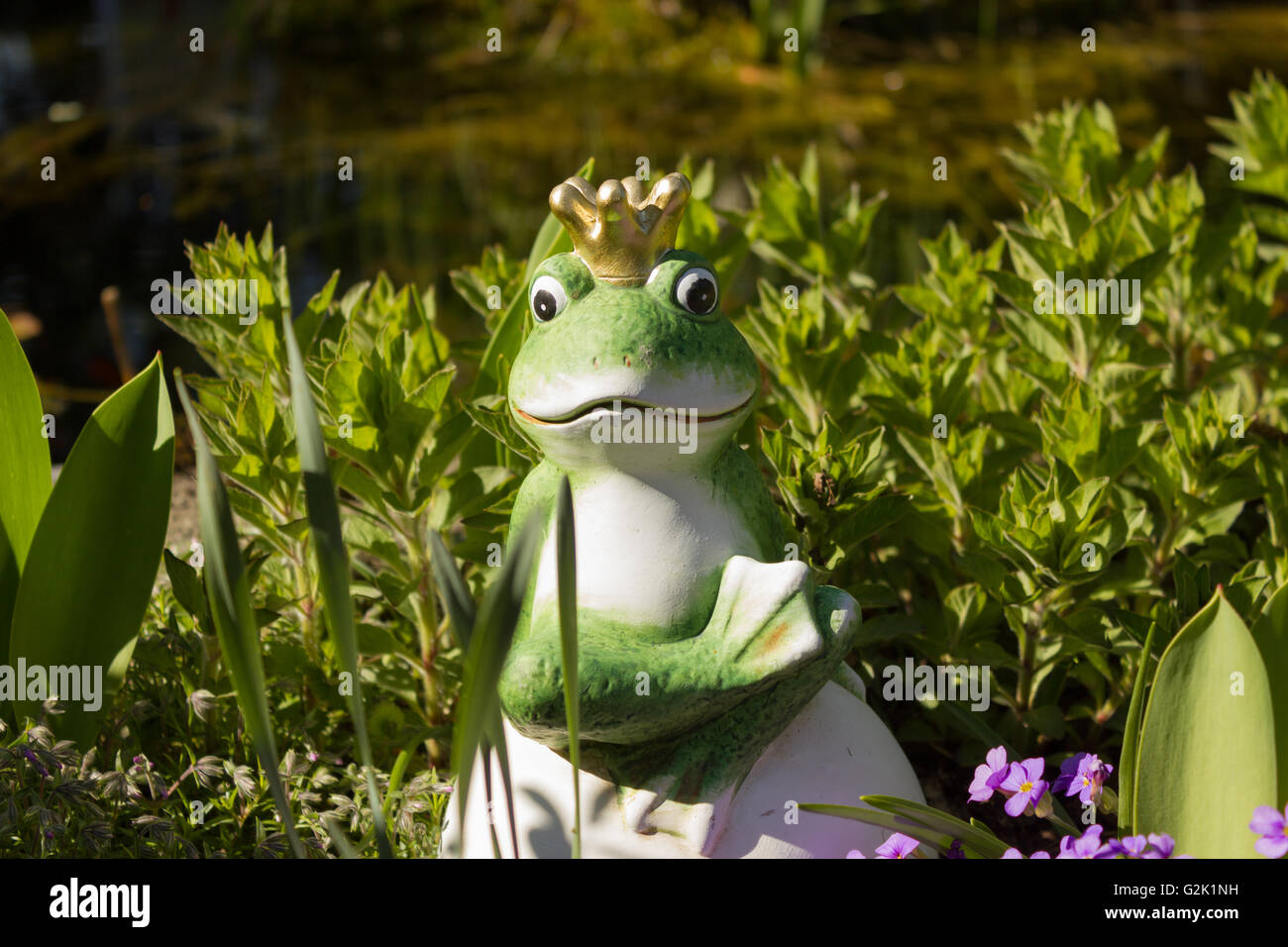 Frog prince with gold crown, closeup and pond background Stock Photo ...