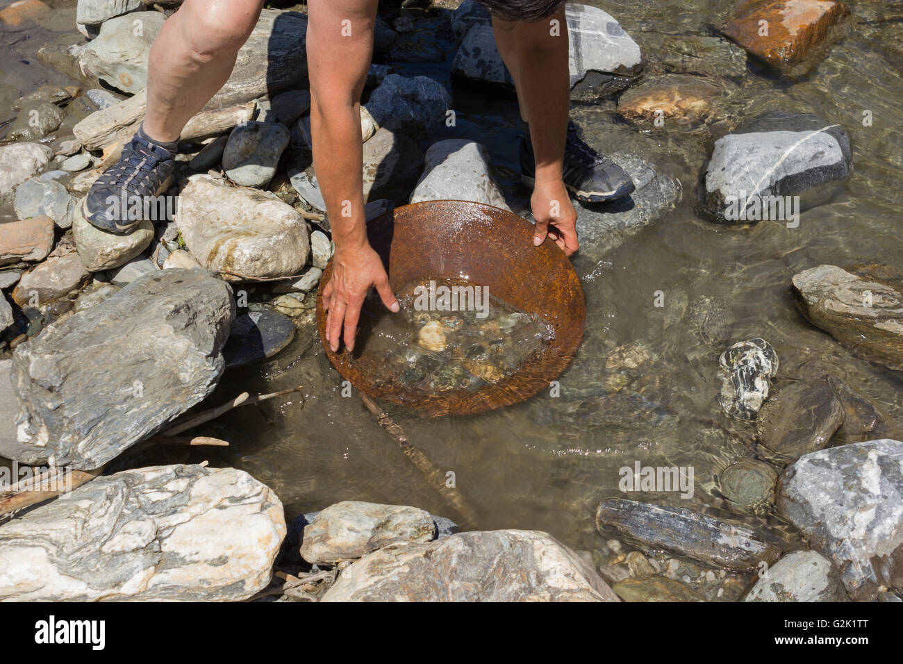 woman Panning for Alluvial Gold, using the traditional panning method ...