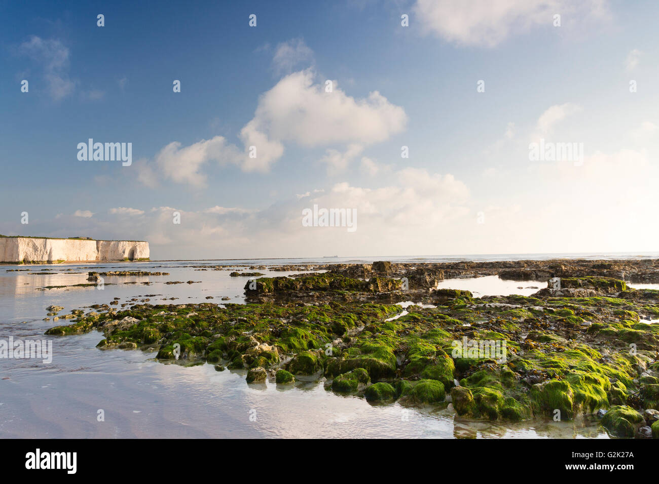Broadstairs, Kent. View of Botany Bay with seaweed-covered rocks in the ...
