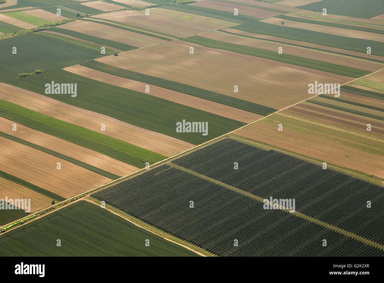 Aerial view of a green rural area in Vojvodina, Serbia Stock Photo - Alamy