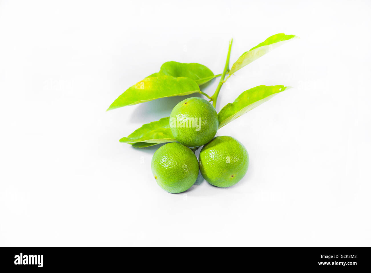 Green lemons hi-res stock photography and images - Alamy