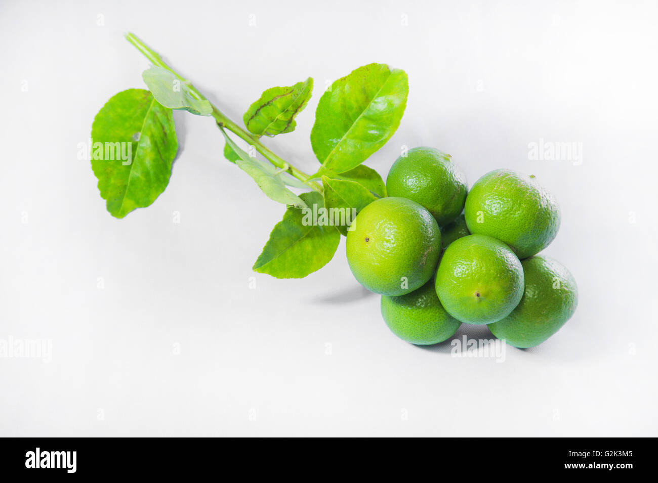 Fresh lemons on green hi-res stock photography and images - Alamy