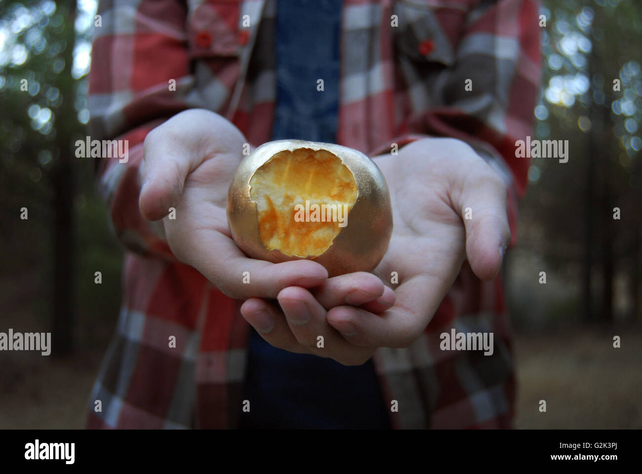 Poisoned apple hi-res stock photography and images - Alamy