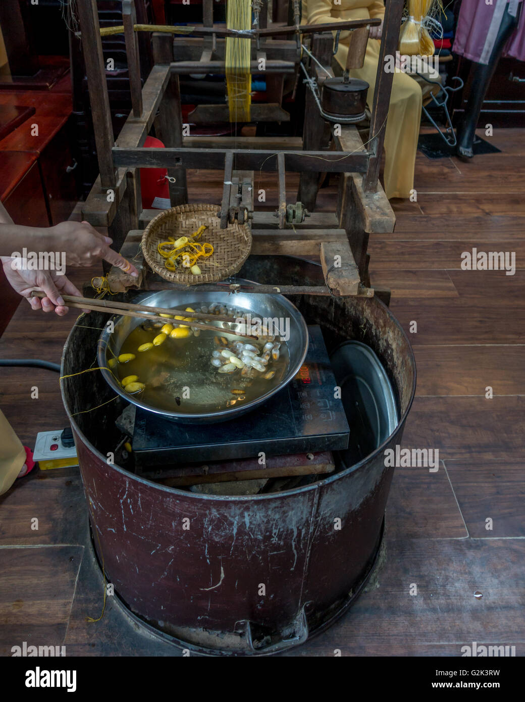 Vietnamese woman demonstrating the silk making process from silk worm ...
